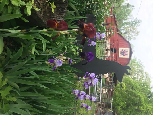 LAZY LLAMA CAMPGROUND - Updated August 2025 - 10 Photos - 405 S Chuckey ...