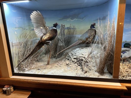 TASTE OF TEXAS BBQ- MCCOOK - Updated July 2025 - 27 Reviews - 112 W ...