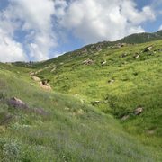 BOX SPRINGS TWO TREES TRAIL - 139 Photos & 28 Reviews - 430 Two Trees ...