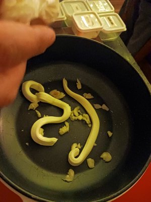 DONT BURN IT -CULINARY CLASSES - Updated October 2025 - 79 Photos ...