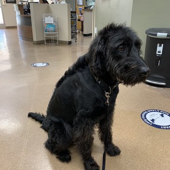 BISHOP RANCH VETERINARY CENTER & URGENT CARE - Updated August 2024 ...