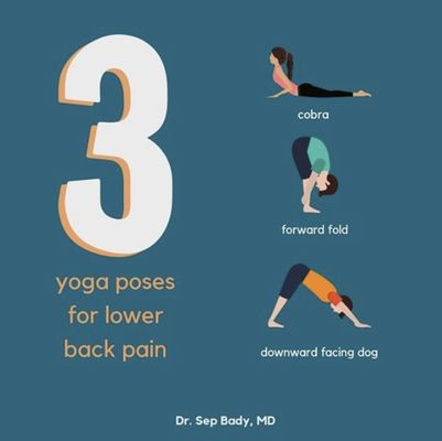 SEP BADY, MD - Updated September 2025 - 34 Reviews - 1901 S Jones Blvd ...