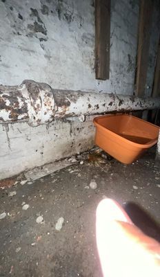 MYGUY PLUMBING & DRAIN - Updated May 2026 - 119 Photos & 29 Reviews ...