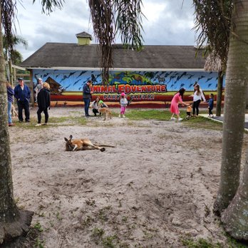 ANIMAL EDVENTURE PARK & SAFARI - Updated July 2025 - 536 Photos & 166 ...