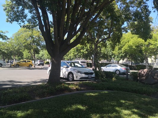 MARY L. STEPHENS DAVIS BRANCH LIBRARY - Updated May 2024 - 101 Photos ...