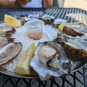 FLYING FISH COMPANY - 284 Photos & 309 Reviews - 3004 East Burnside St ...