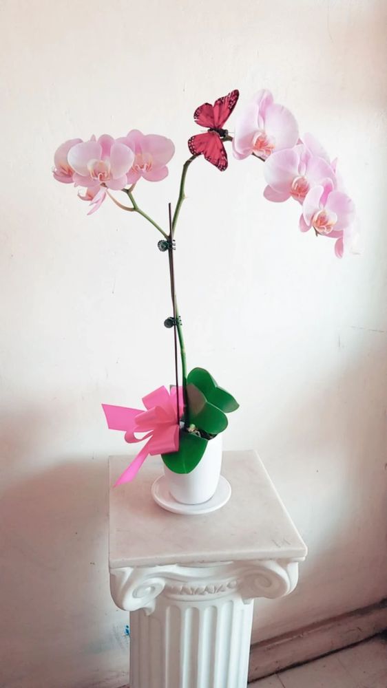 KIM FLORIST - Updated August 2025 - 176 Photos & 133 Reviews - 227 W ...