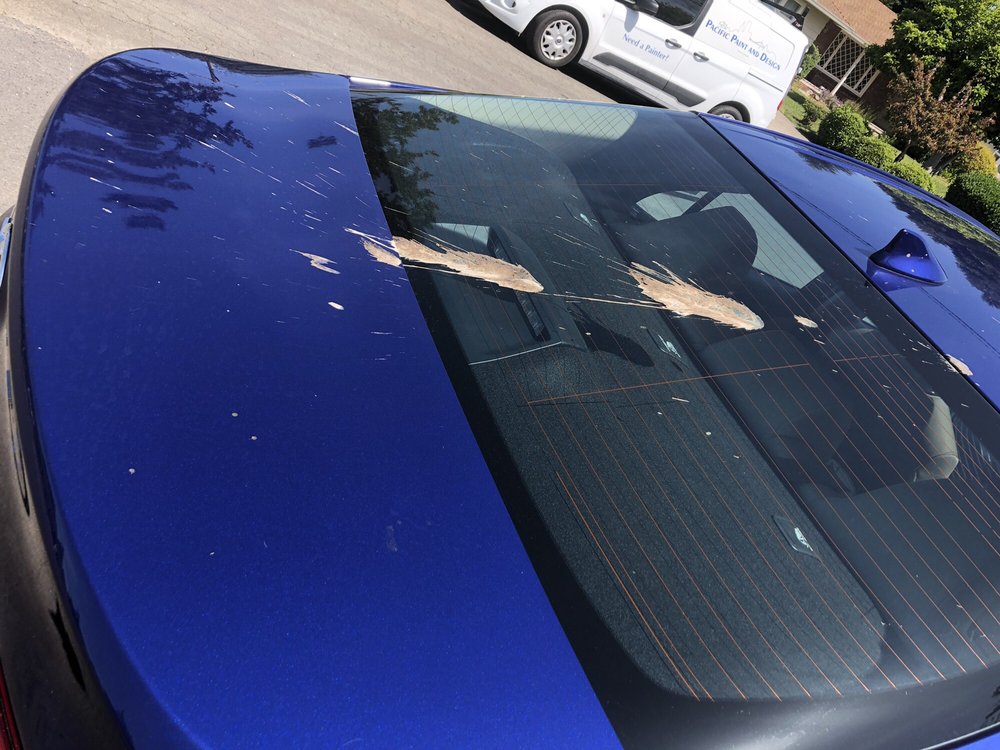 FREEMAN TOYOTA - 74 Photos & 530 Reviews - Santa Rosa, California - Car ...