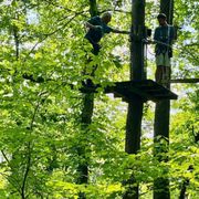 THE ADVENTURE PARK AT VIRGINIA AQUARIUM - 444 Photos & 158 Reviews ...