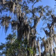 Turkey Creek Sanctuary - 134 Photos & 26 Reviews - Parks - 1518 Port ...