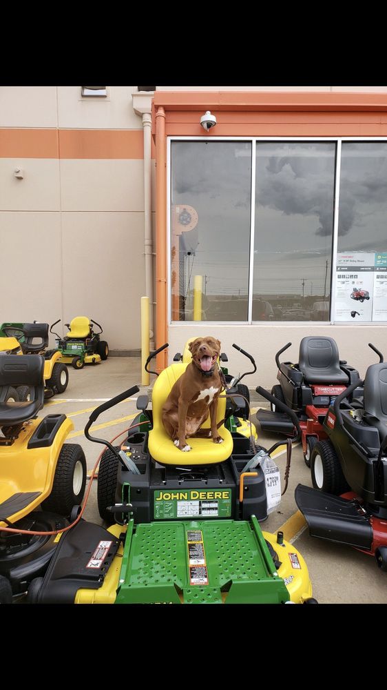 TIP TOP K9 TULSA DOG TRAINING - 27 Photos & 25 Reviews - 8545 E 41st St ...