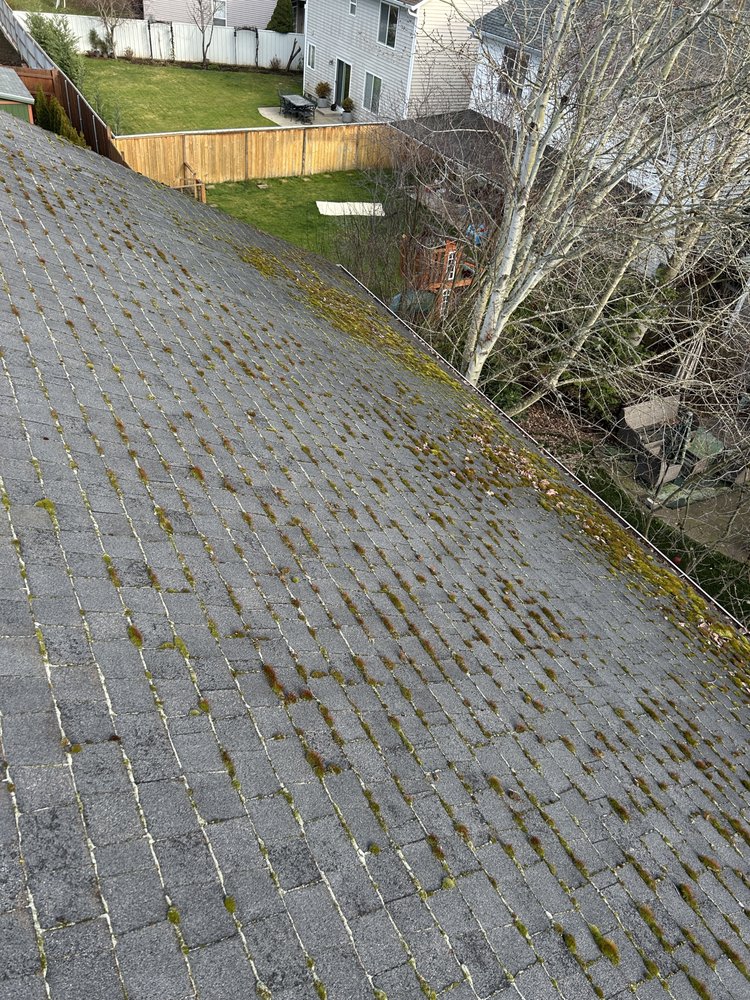 CASCADE ARMOR - Updated June 2025 - 12 Photos - 8706 NE 77th Way ...