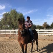 GREEN ACRES RANCH - 137 Photos & 99 Reviews - Horseback Riding - 35750 ...