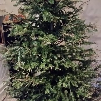 DONNA’S TREES - Updated December 2025 - 38 Photos & 30 Reviews - 18601 ...