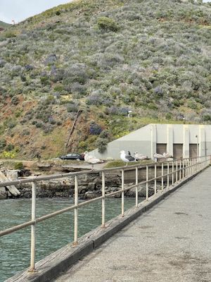 FORT BAKER - Updated March 2025 - 326 Photos & 74 Reviews - 601 Murray ...