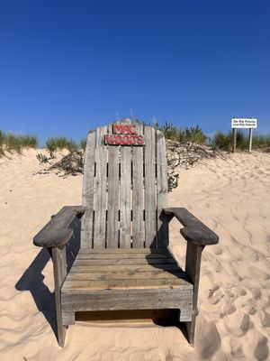MAC WOOD’S DUNE RIDES - Updated October 2025 - 196 Photos & 105 Reviews ...