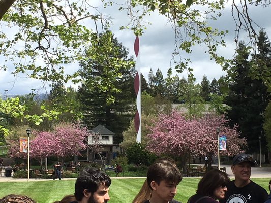 SONOMA STATE UNIVERSITY - 86 Photos & 73 Reviews - 1801 E Cotati Ave ...