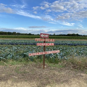 HALLOCK’S U-PICK FARM & GREENHOUSE - Updated December 2025 - 52 Photos ...