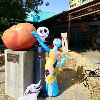 DAVIS FOOD CO-OP - Updated June 2025 - 398 Photos & 285 Reviews - 620 G ...