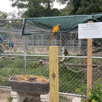 DUNROVIN COUNTRY STORE - Updated January 2026 - 46 Photos & 32 Real ...