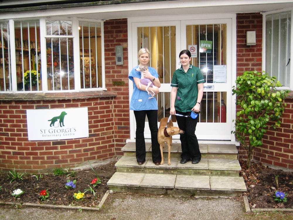 ST GEORGE’S VETERINARY CENTRE - Updated December 2025 - Old Heath Road ...