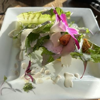 MAURIZIO TRATTORIA ITALIANA - Updated April 2025 - 707 Photos & 885 ...