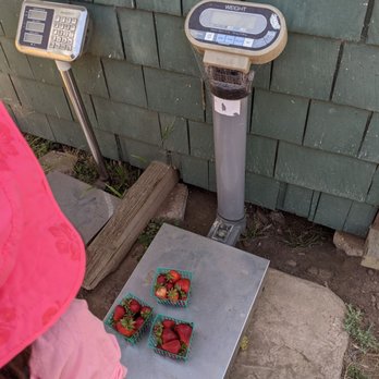 CRYSTAL BAY FARM - Updated September 2024 - 146 Photos & 64 Reviews ...