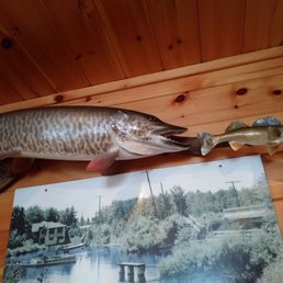 PEA PATCH MOTEL & SALOON - Updated December 2025 - 39 Photos & 73 ...