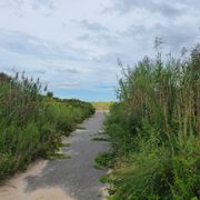 CAPTREE STATE PARK | 339 Photos & 45 Reviews - 3500 E Ocean Pkwy ...