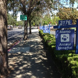 DEBORAH KNIBB, DVM - 25 Reviews - 230-A Alamo Plz, Alamo, CA - Yelp