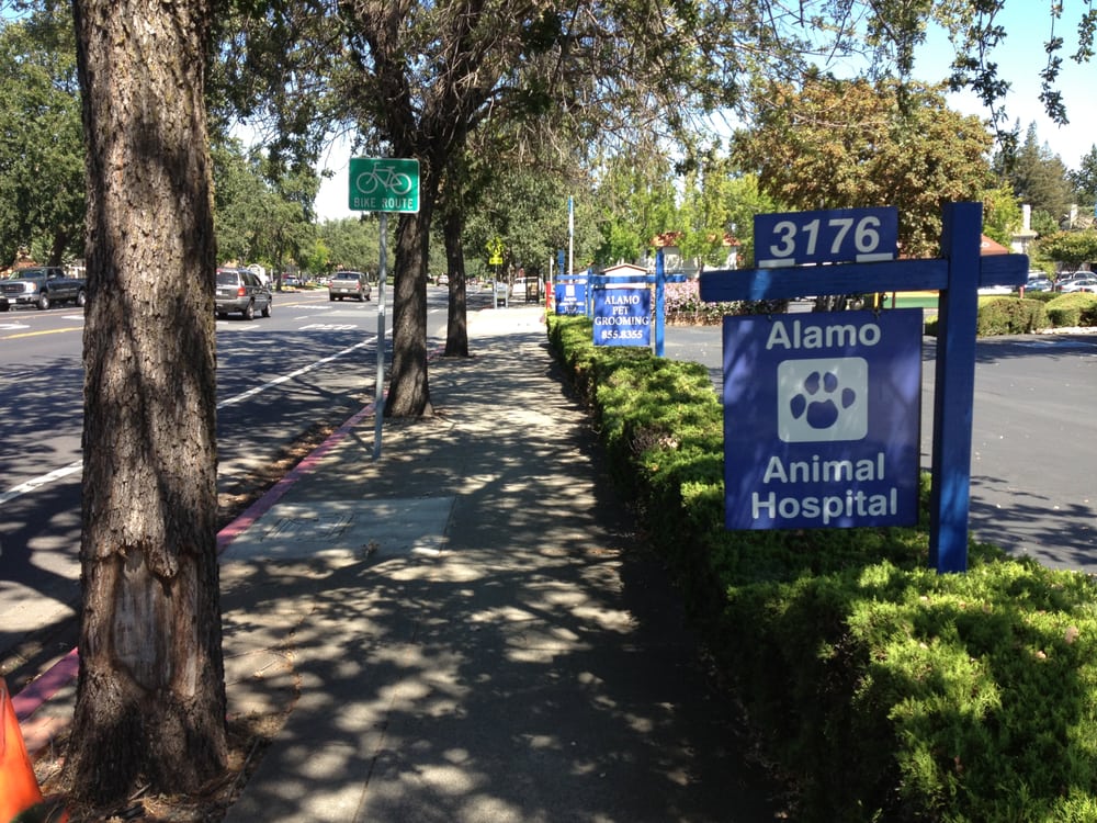 ALAMO ANIMAL HOSPITAL - Updated January 2026 - 17 Photos & 49 Reviews ...