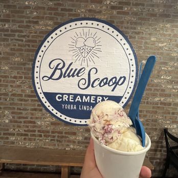 BLUE SCOOP CREAMERY - Updated July 2024 - 65 Photos & 47 Reviews - 391 ...