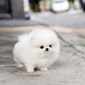 WOODROW WILSON AQUATIC CENTER - 18 Photos & 117 Reviews - 4551 Fort Dr ...