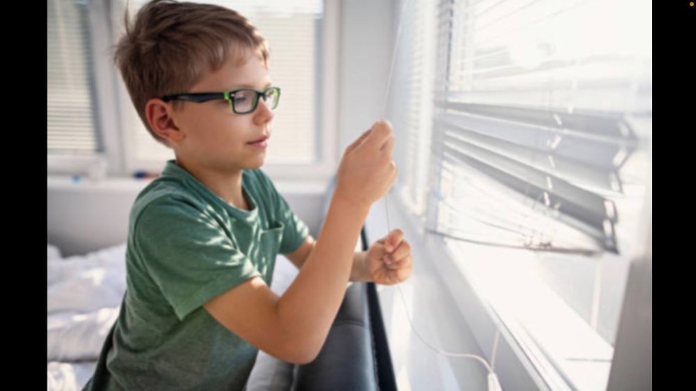 DAY & NITE SHADES - 24 Photos - Los Angeles, California - Shades ...