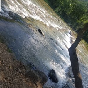 KL RANCH CAMP “ON THE RIVER” - 78 Photos & 24 Reviews - 5455 River Rd ...