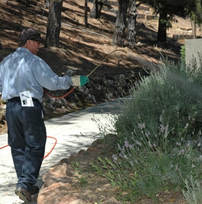 KILLROY PEST CONTROL - Updated December 2025 - 17 Photos & 300 Reviews ...