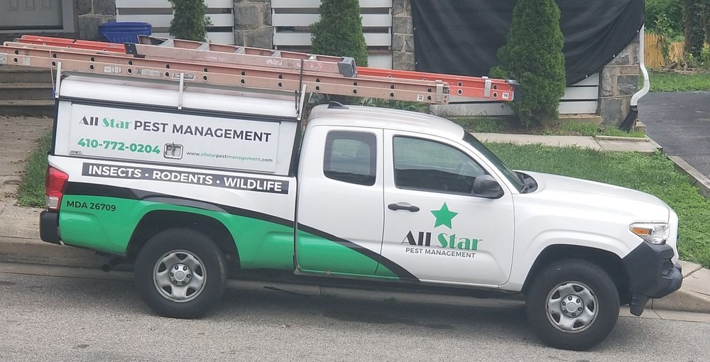 ALL STAR PEST MANAGEMENT - Updated December 2025 - 21 Photos & 28 ...