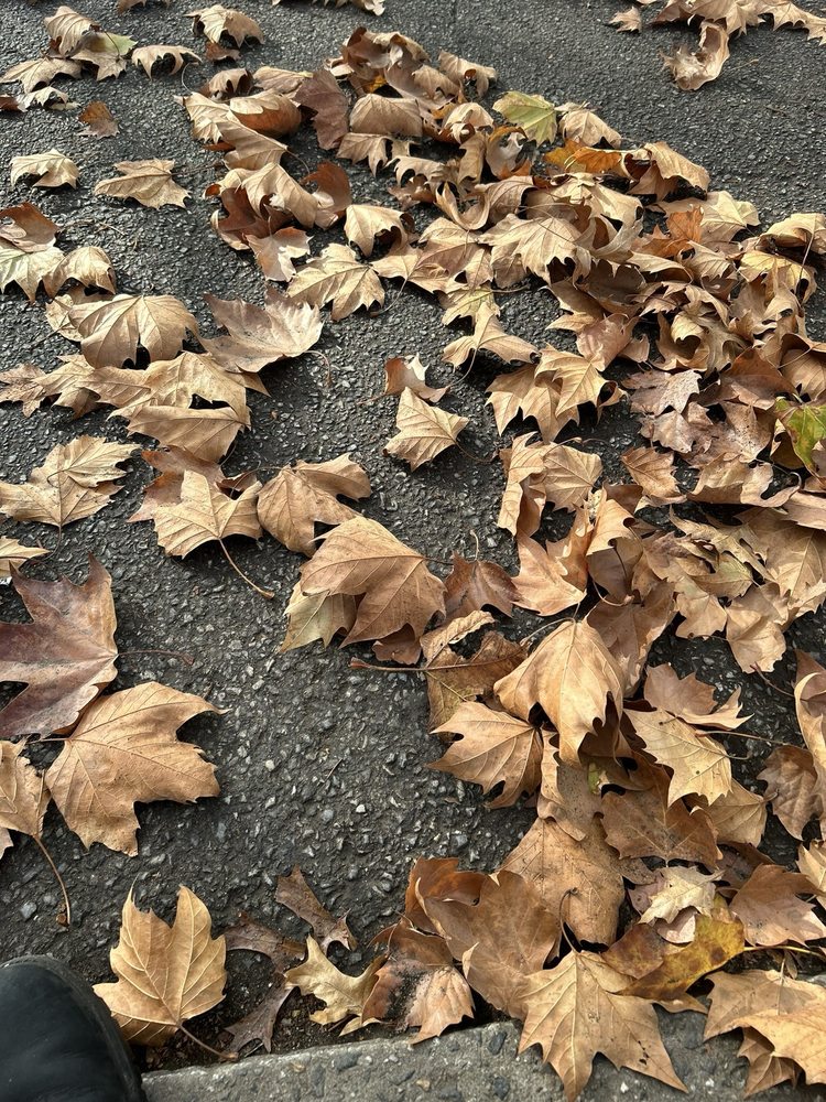 CRE@TIVE DESIGN STUDIO - Updated December 2024 - 30 Photos - 43-44 21st ...