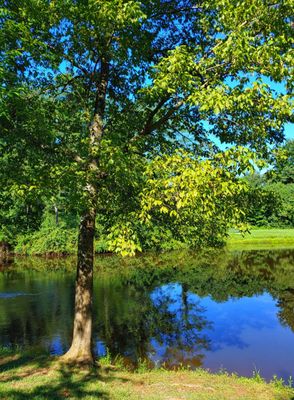 CLEPPER PARK - Updated December 2025 - 18 Photos - 4722 Summerside Rd ...