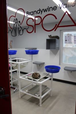 BRANDYWINE VALLEY SPCA - Updated June 2024 - 17 Photos - 1757 Horsepond ...