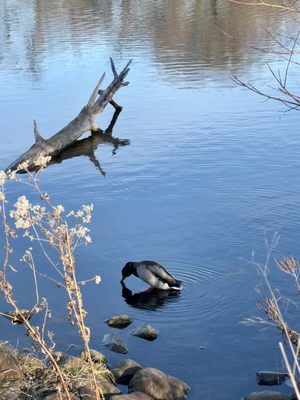 WEST RIDGE NATURE PARK - Updated September 2025 - 208 Photos & 19 ...