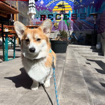 RECESS BEER GARDEN - 260 Photos & 362 Reviews - 2715 17th St, Denver ...