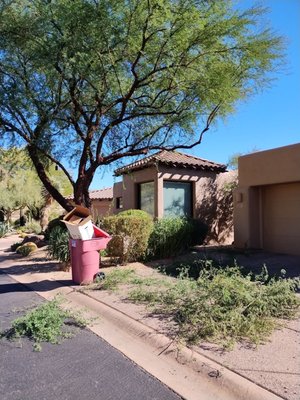 FELIX LANDSCAPE - Updated December 2025 - 131 Photos & 14 Reviews ...