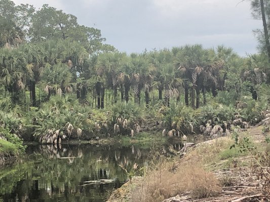 COVERED BRIDGE PARK - Updated December 2025 - 25 Photos - 6031 Holmberg ...