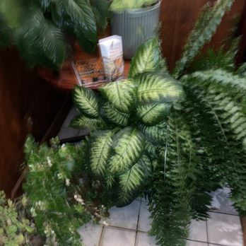 INLAY BURMESE KITCHEN - Updated November 2024 - 391 Photos & 264 ...