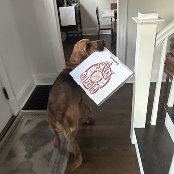 CHARLIE FOX’S PIZZA GENEVA - Updated January 2026 - 35 Photos & 61 ...