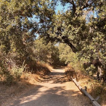 PICCHETTI RANCH OPEN SPACE PRESERVE - Updated September 2025 - 334 ...