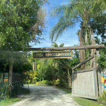 CROC ENCOUNTERS - Updated October 2024 - 270 Photos & 135 Reviews ...