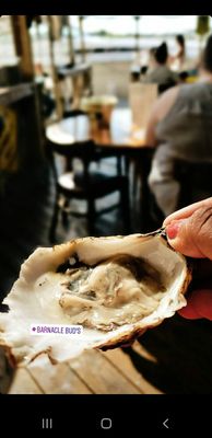 BARNACLE BUD’S - Updated January 2025 - 326 Photos & 298 Reviews - 1955 ...