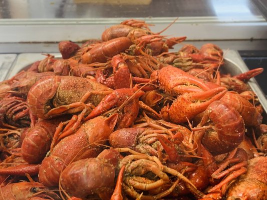 AMERICAN CRAB CO - Updated December 2025 - 138 Photos & 115 Reviews ...